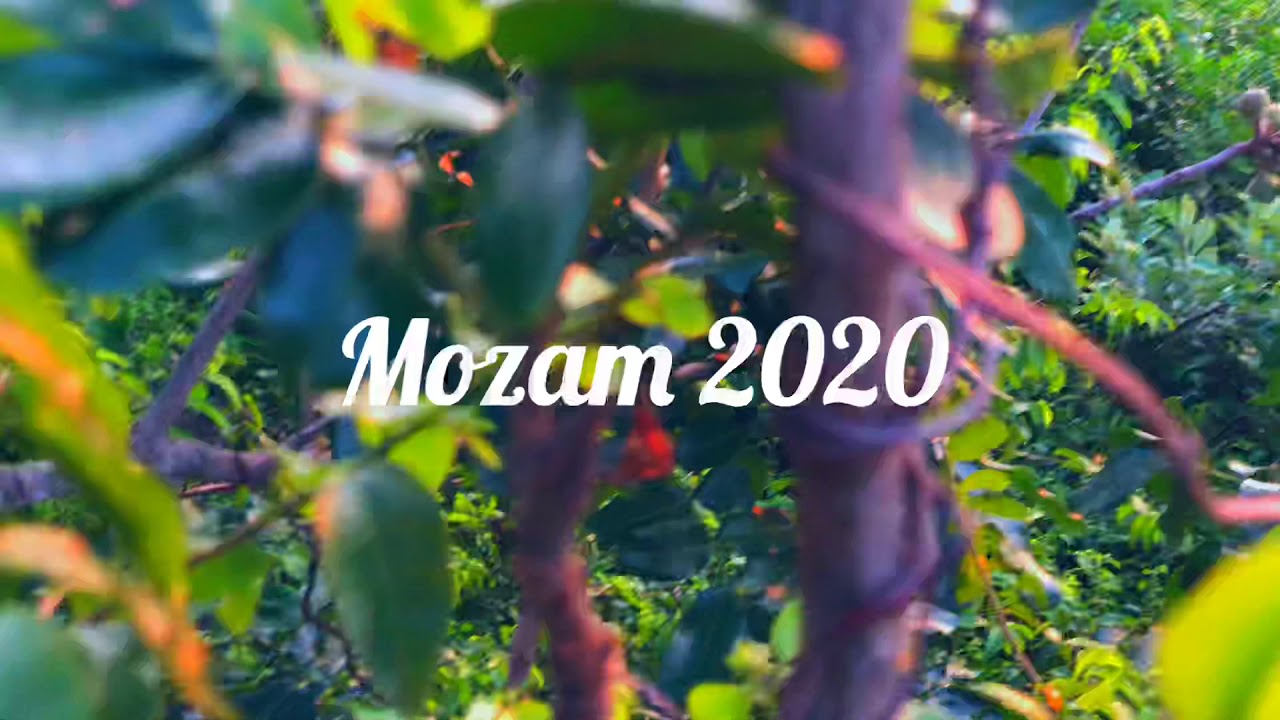 Mozam 2020 - YouTube