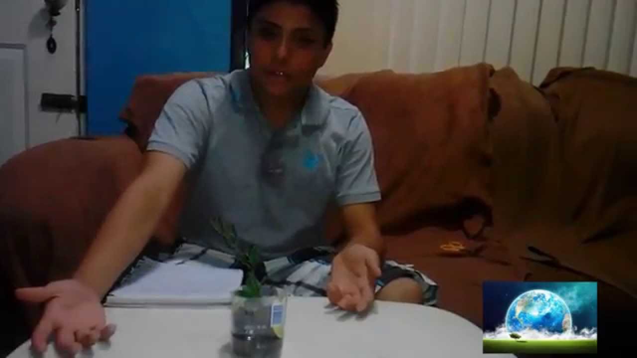 Experimento: Un mundo sin luz... - YouTube