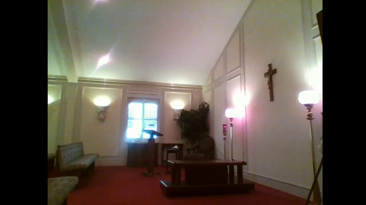 Noelle Major Live Stream - YouTube