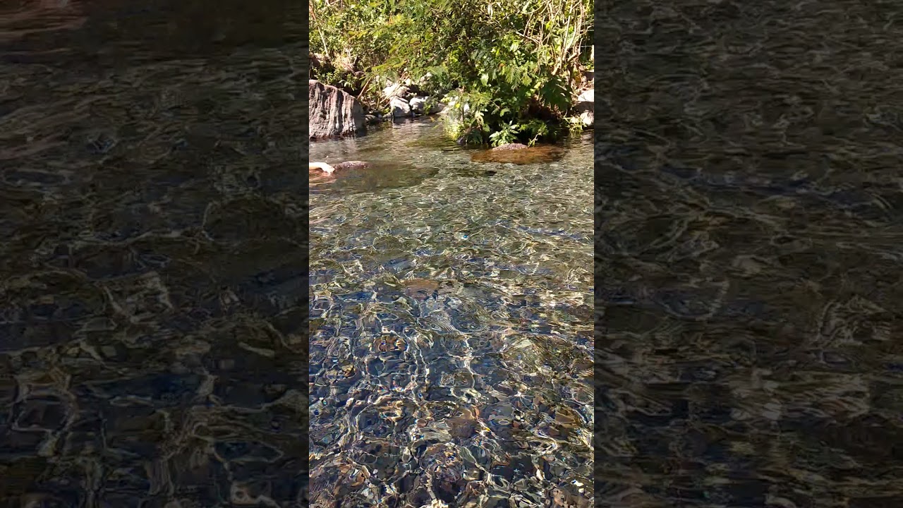 Q hermosura de río vean la claridad del agua el río de agua tibia ...