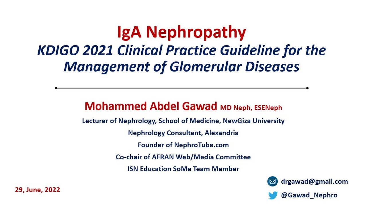 Iga Nephropathy Kdigo 2021 Guidelines English Language Dr Gawad