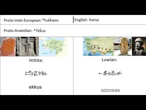 Hittite and Luwian | Anatolian Languages | Word Comparison - YouTube