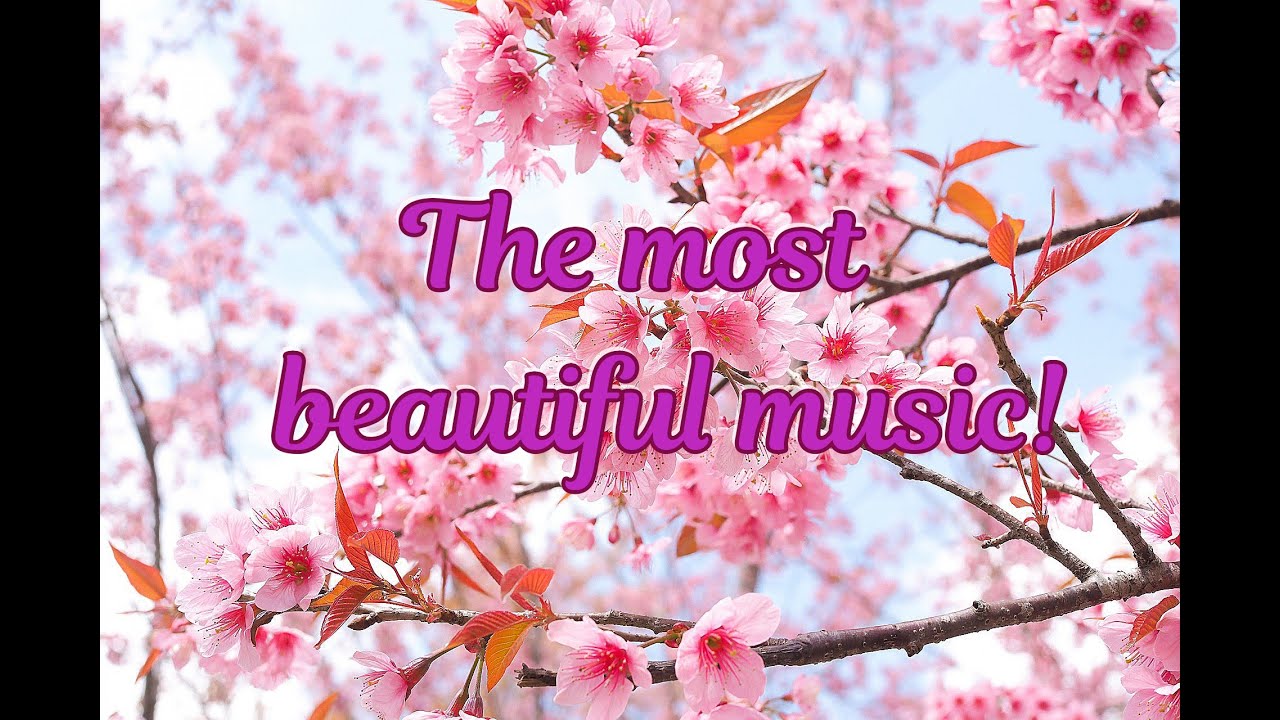 THE MOST BEAUTIFUL MUSIC!30 MINUTES OF CLEANSING FROM NEGATIVITY AND ...