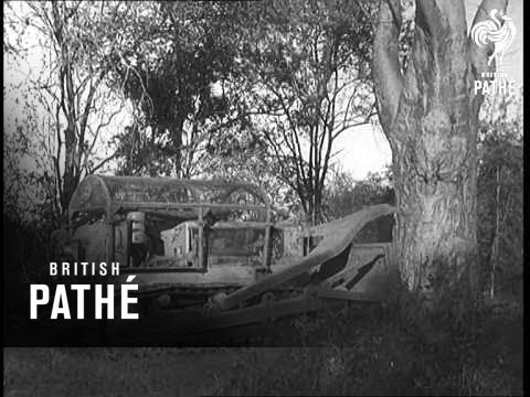 New Methods Clear Bush (1959) - YouTube