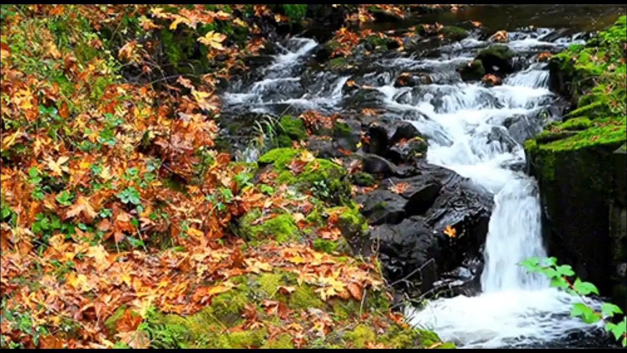 Nature Sounds - Waterfall - Relaxing Meditation - Birdsong - Calming ...