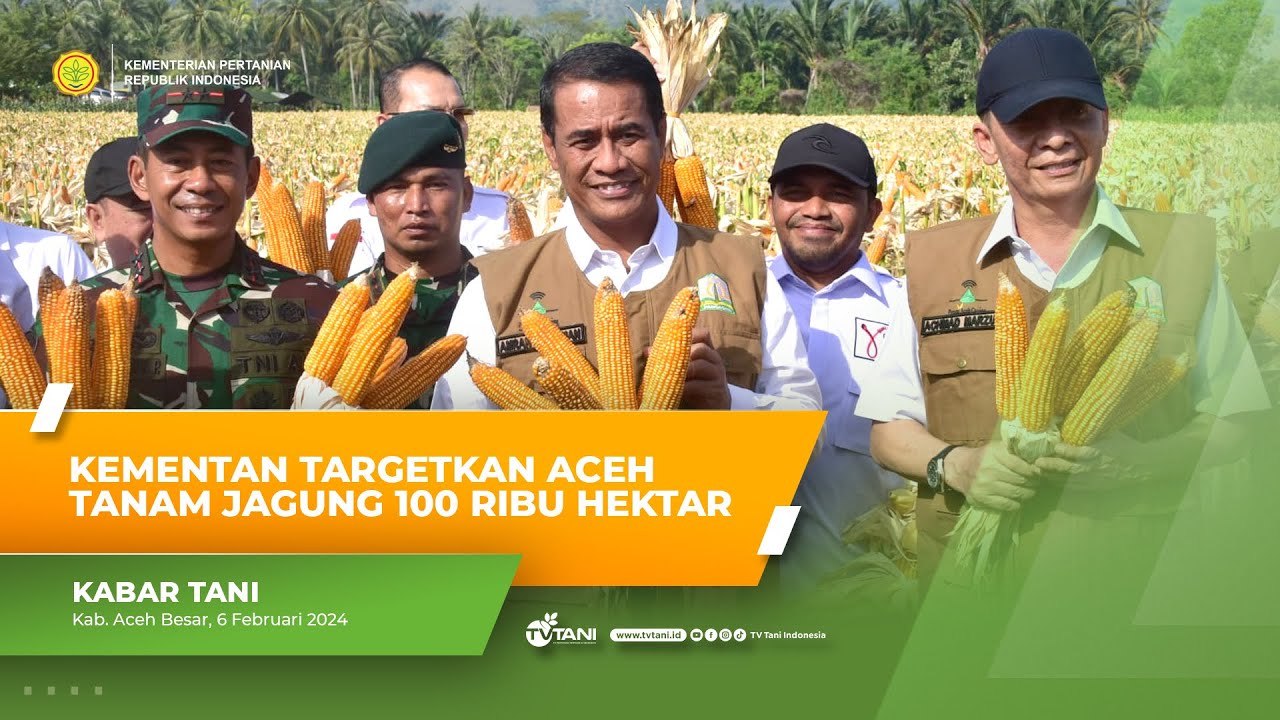 Panen dan Tanam Jagung di Aceh, Mentan Amran Tegaskan Sudah Ada Tanda ...