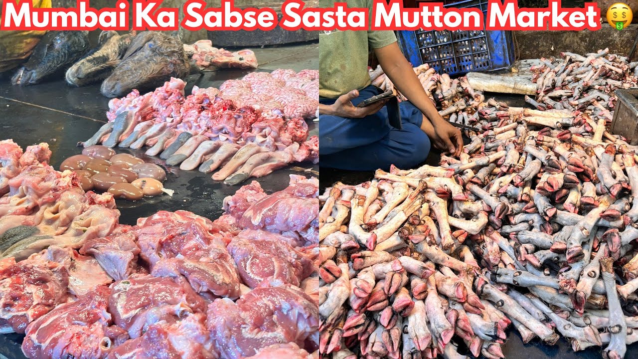 Mumbai Mutton Market | Kena Market Govandi | Fresh Mutton Market Tour ...