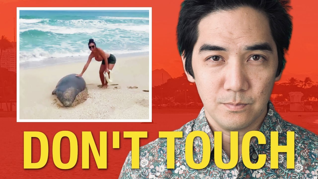 Triggering Locals: 3 Ways to Get Us Mad in Hawaii - YouTube