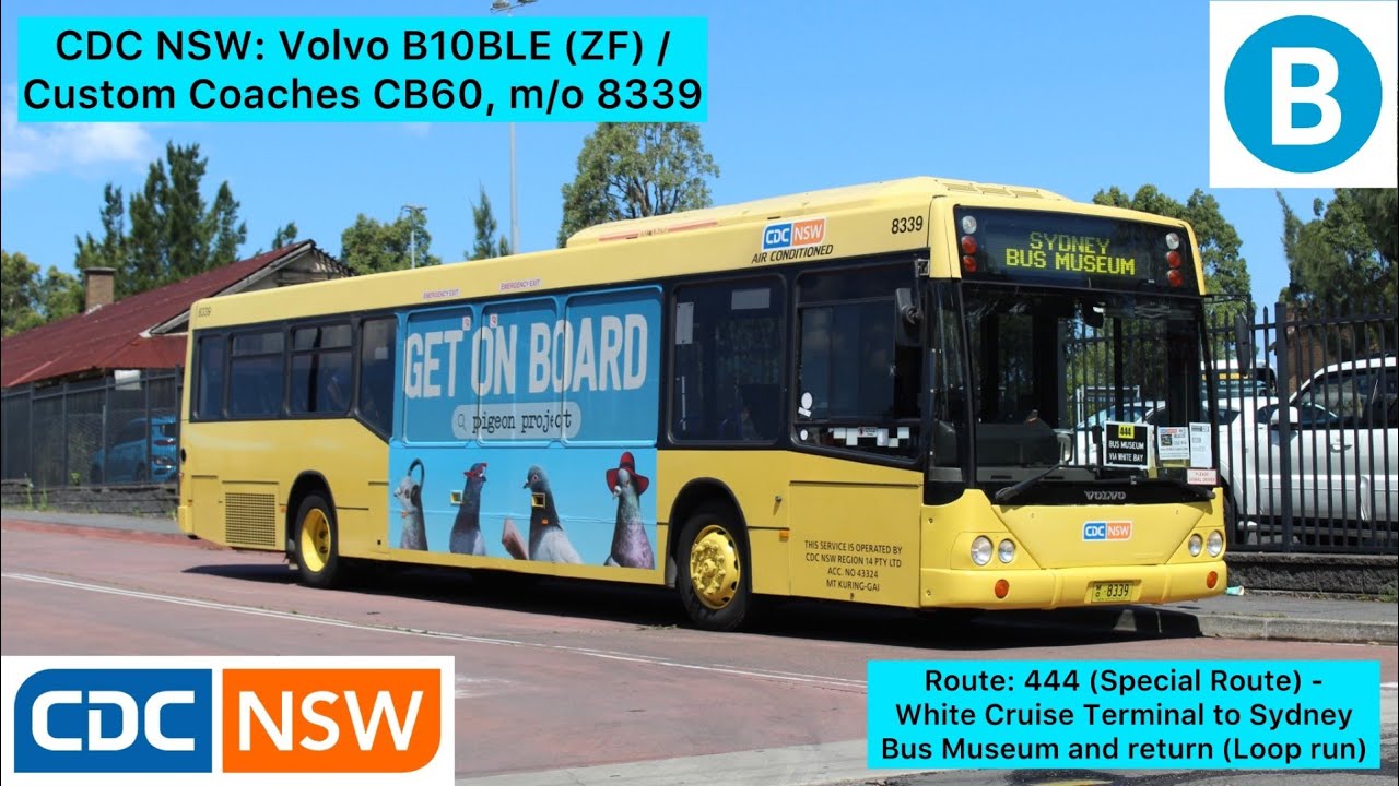CDC NSW: Volvo B10BLE (ZF) / Custom Coaches CB60, m/o 8339 - YouTube