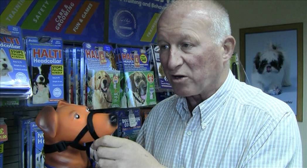 Dr Roger Mugford - YouTube