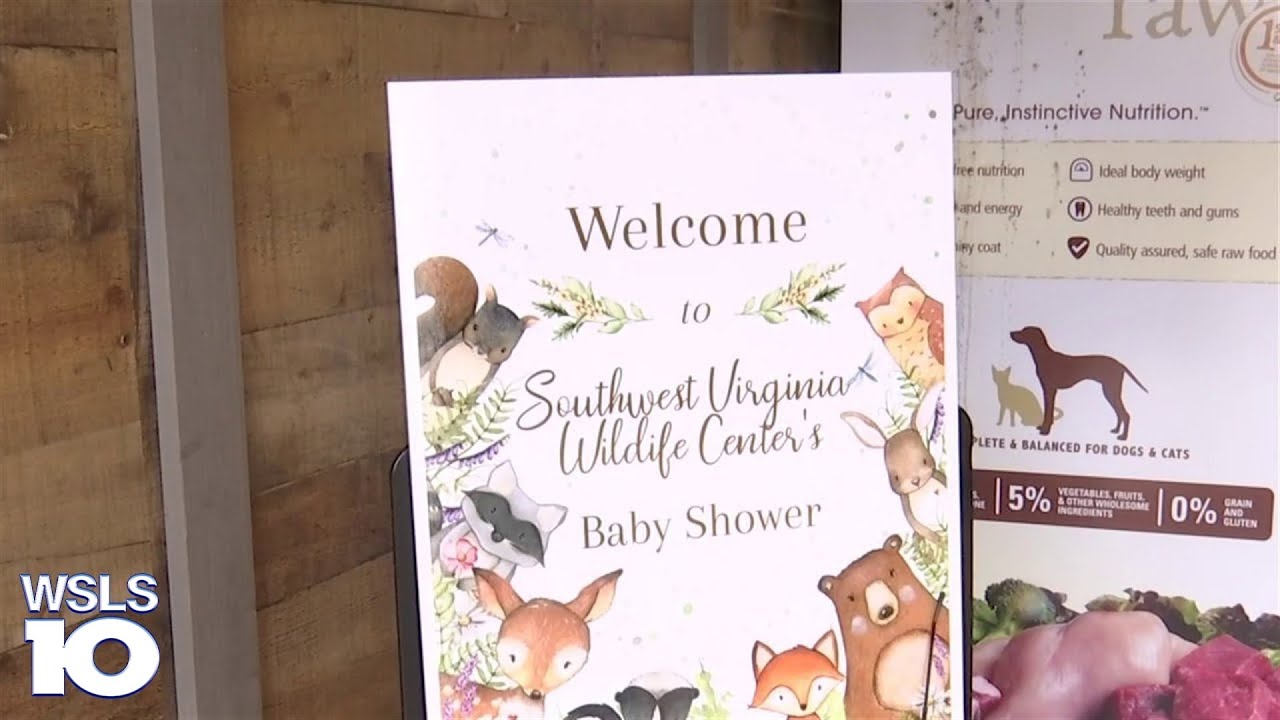 SWVA Wildlife Center celebrates baby animals - YouTube