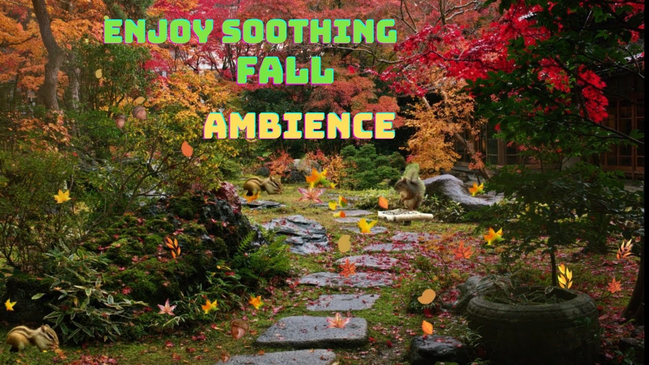 Unbelievable Fall Moments: The Soothing Visuals You Won't Believe ...