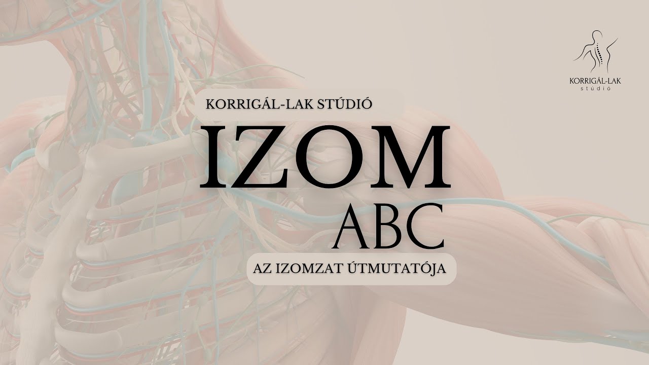 Izom ABC 💪 Alkar izmai és masszírozása fascia golyóval - YouTube