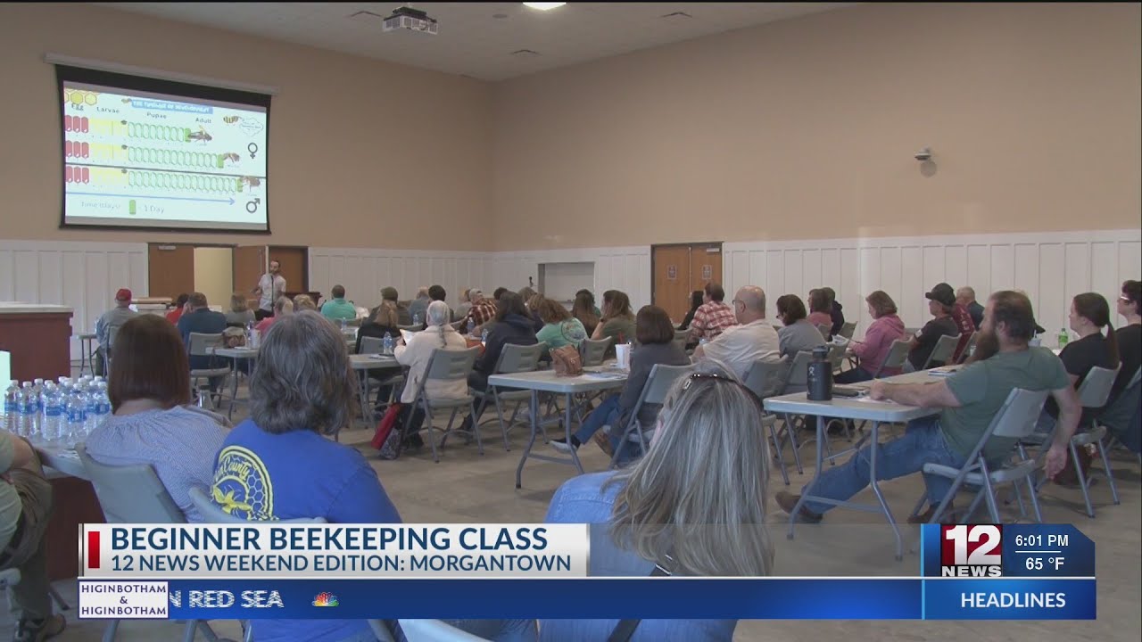 Beginner Beekeeping Class - YouTube