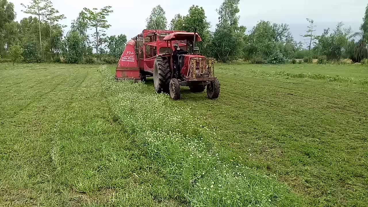 forage harvester fodder cuter cutting berseem - YouTube
