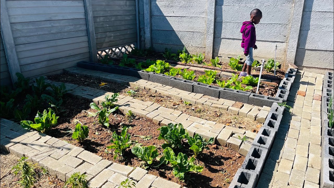 Backyard Vegetable Garden Extension! We are extending and rearranging ...