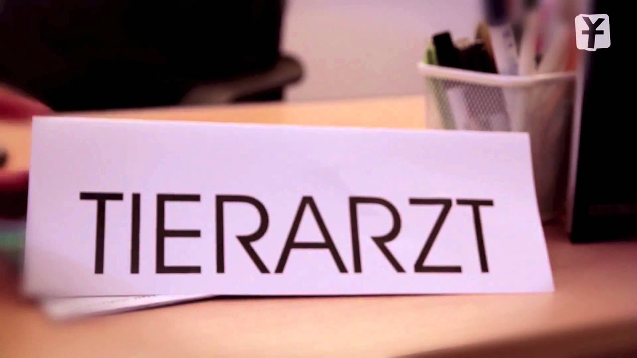 Y-Titty- Dr. Alles Intro - YouTube