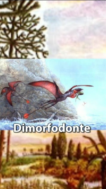 Dimorfodonte #dinosaur #dinossauro #pterosaurus #videos - YouTube