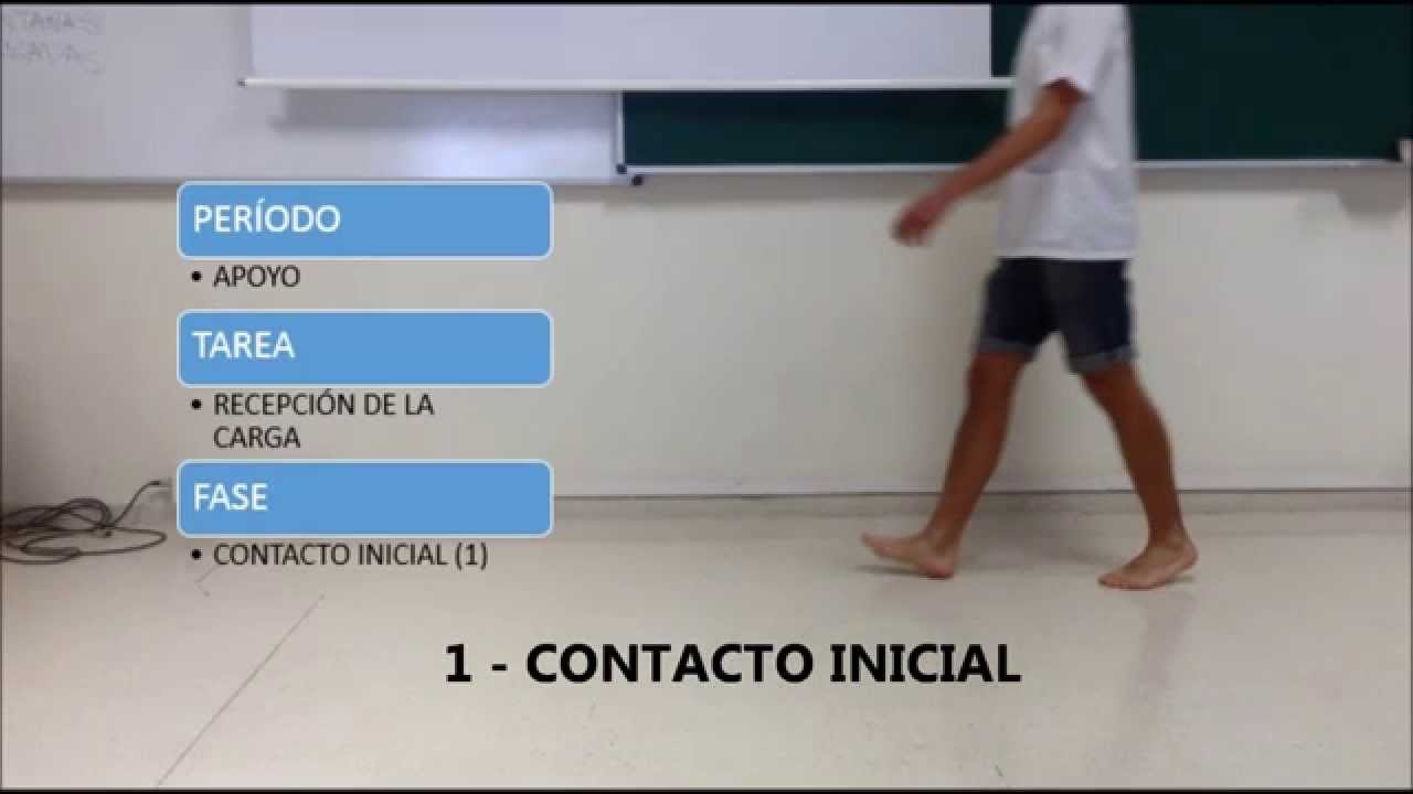 El ciclo de la marcha - YouTube