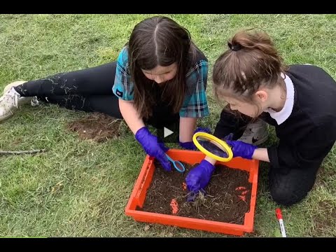 Dundee Nature Schools films: Fintry Primary Nature School movie ...