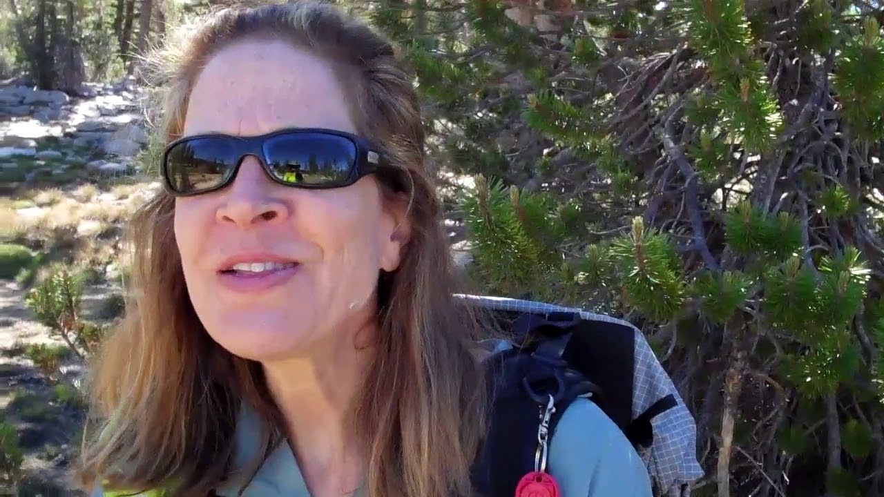 Blackcap Basin Sierra Club Trip August 2019 - YouTube