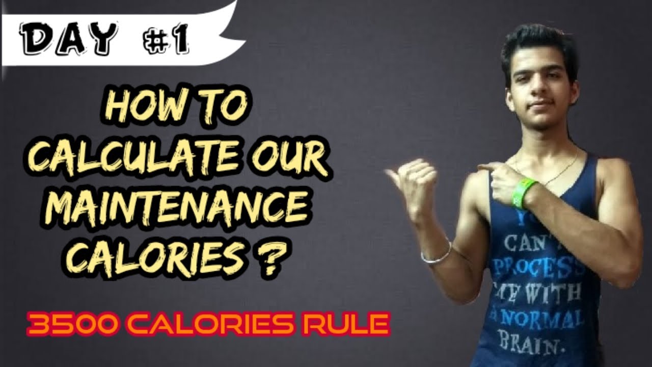 Day #1 || How to calculate maintenance calories || HOME_FIT Dietary ...