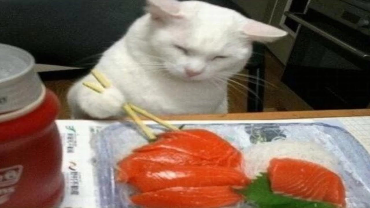 5 Memes To Watch While Eating - YouTube