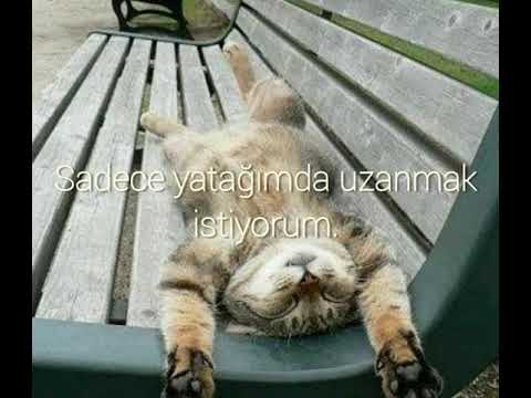 Bruno Mars - The Lazy Song { Türkçe Çeviri }