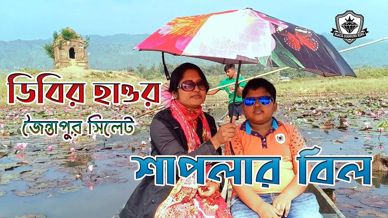 শাপলা ডিবির হাওড় I ডিবির হাওড় I Shapla Bil Dibir Haor Sylhet ...