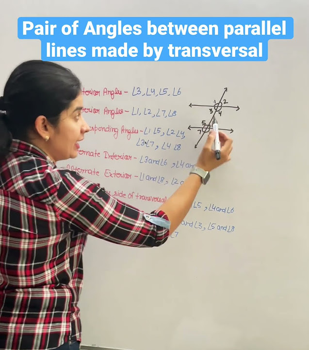 Pair of angles between parallel lines# made by transversal# - YouTube