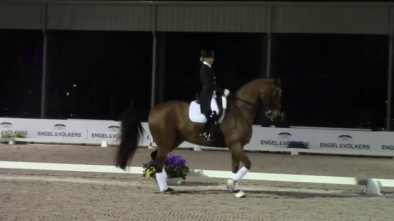 Lisa Wilcox Dressage