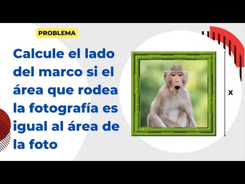 El área que rodea la fotografía es igual al área de la foto Calcule el ...