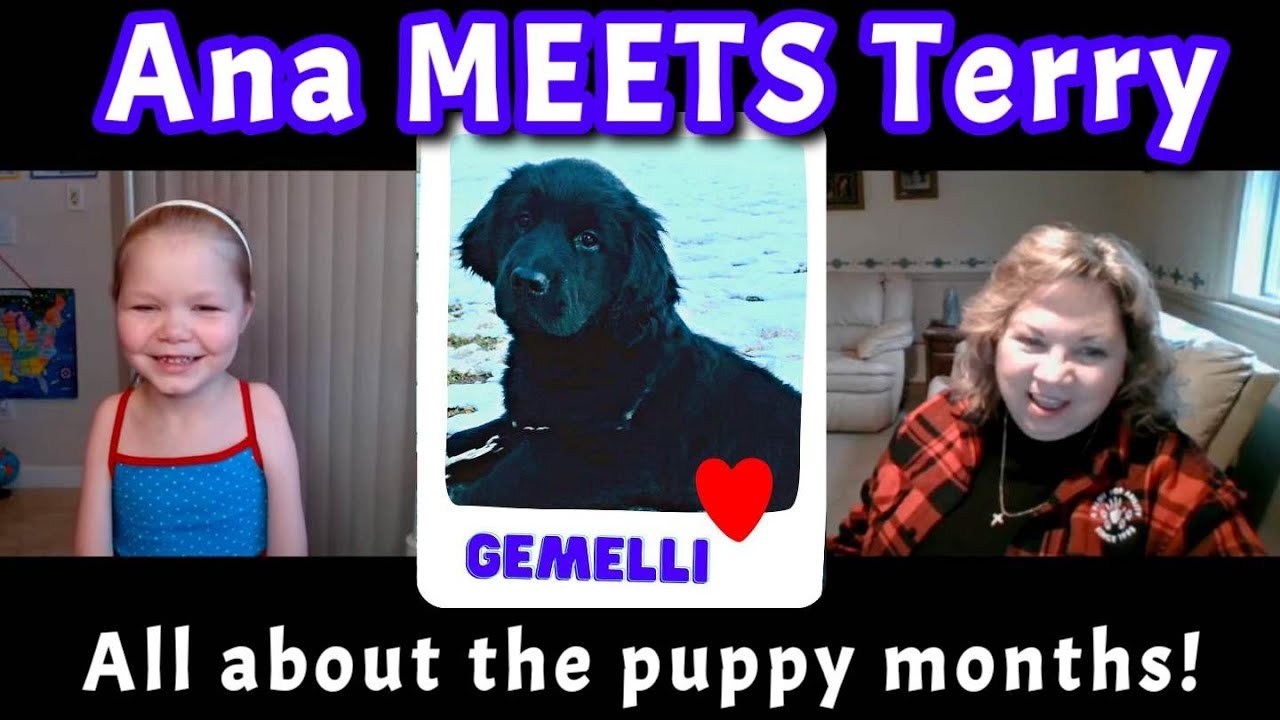 Ana MEETS Terry - A chat about Gemelli's PUPPY months! - YouTube