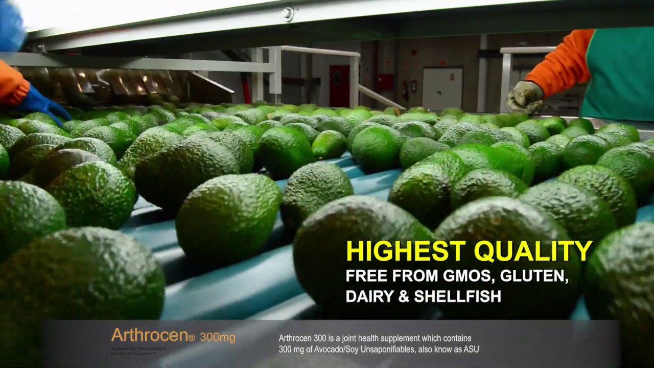 Arthrocen 300 Joint Health Supplement, Non-GMO, Avocado Soy ...