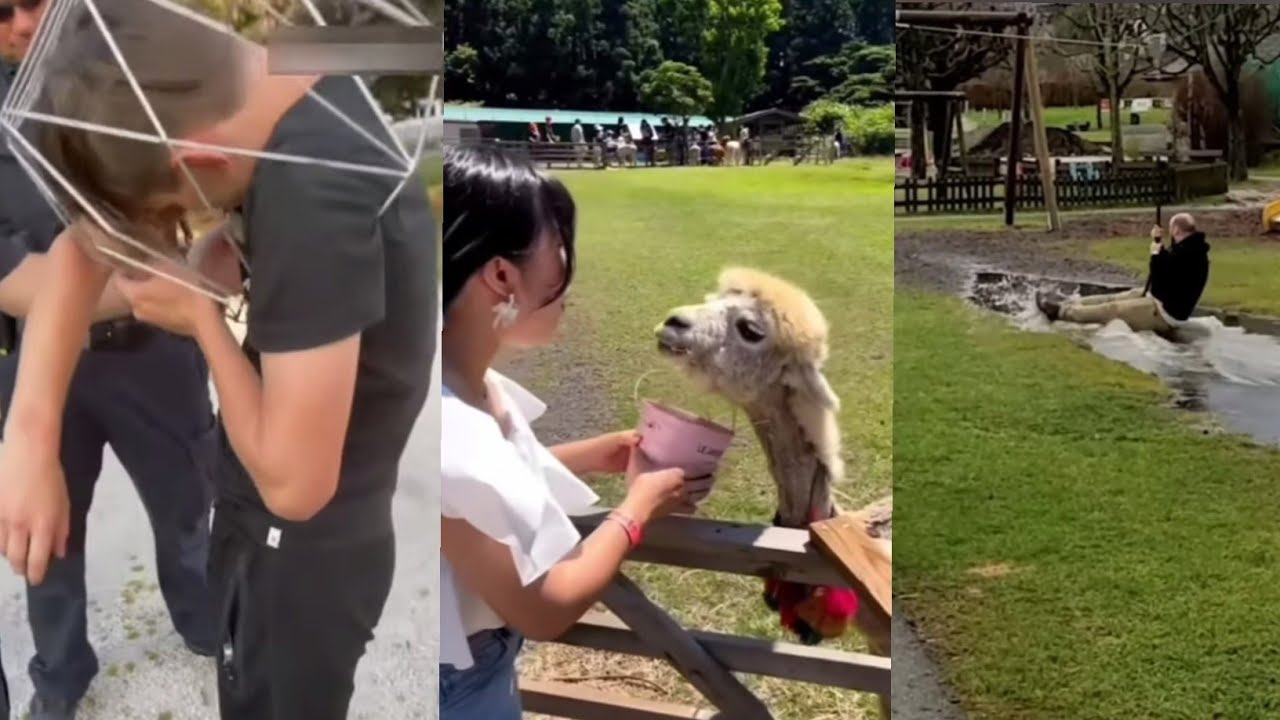 Funny Fail compilation 2022 #58 - YouTube