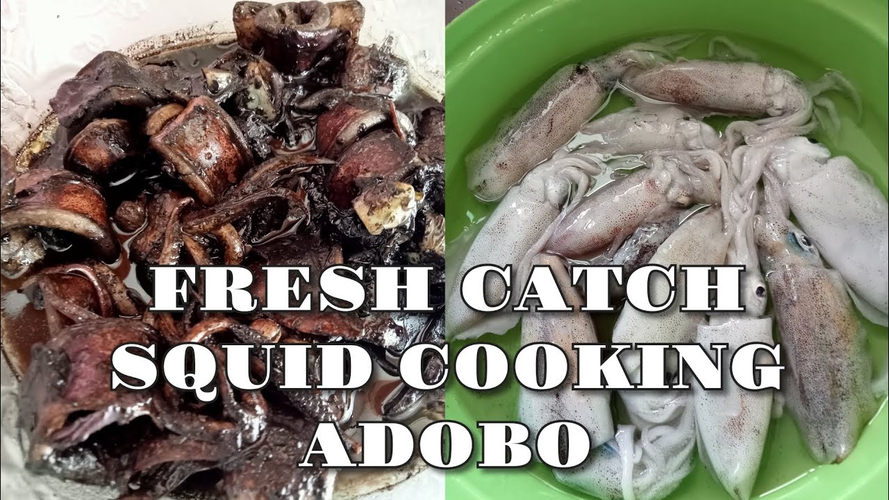 FRESH SQUID ADOBO RECIPE #pinoyrecipe #freshcatch #SQUID#adobo - YouTube
