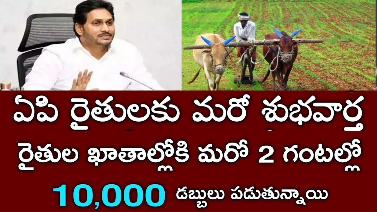 ఏపి రైతులకు మరి కాసేపట్లో 10000 డబ్బులు పడుతున్నాయి తీసుకోండి|input ...