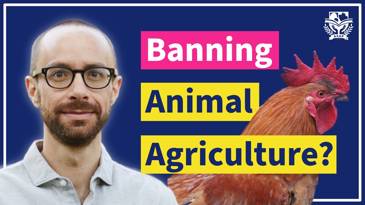 NYU Professor on Banning Animal Farming ASAP - YouTube