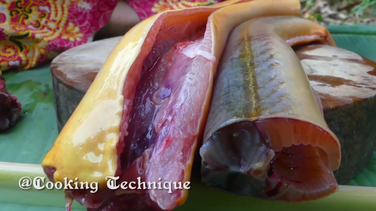 Cooking Technique: Cooking Big Eel In Bamboo Recipe | Village Food ...