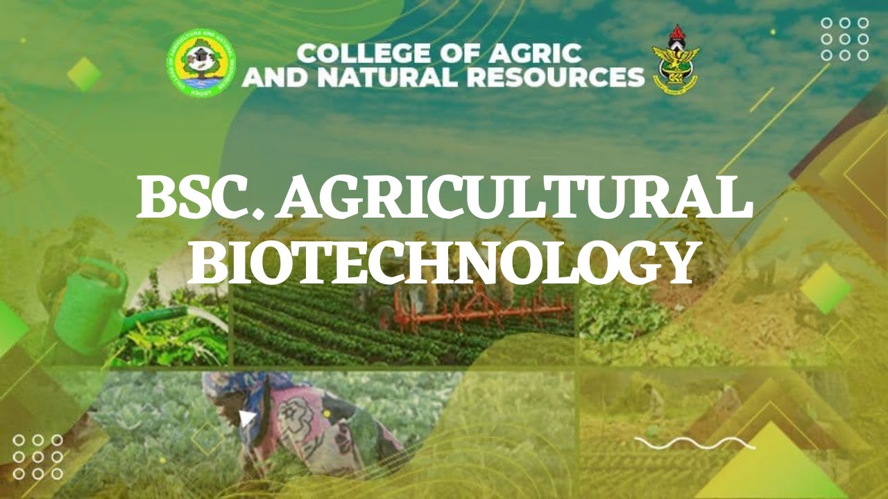 What you don't know about BSc. Agriculture Biotechnology - KNUST - YouTube