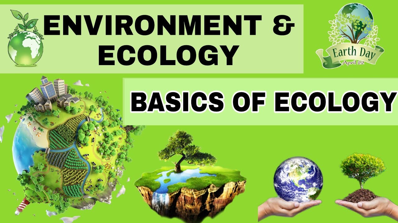 ENVIRONMENT & ECOLOGY LECTURE 1 | BASICS OF ECOLOGY | BIOSPHERE ...
