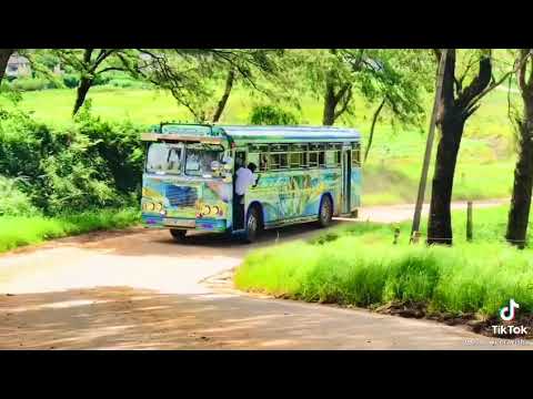 dagakari bus |( දගකාරි බස් ) sri lanka butifull bus - YouTube