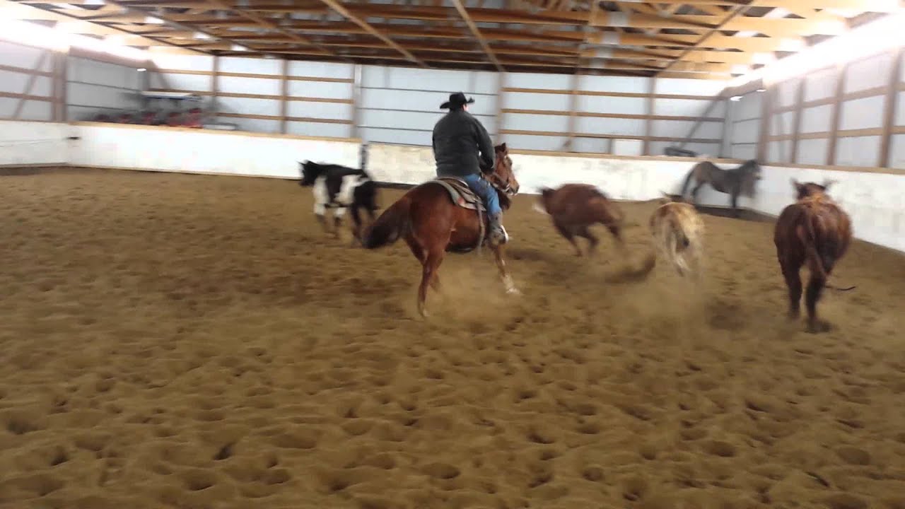 Lena 2005 AQHA mare. Smart little lena - YouTube