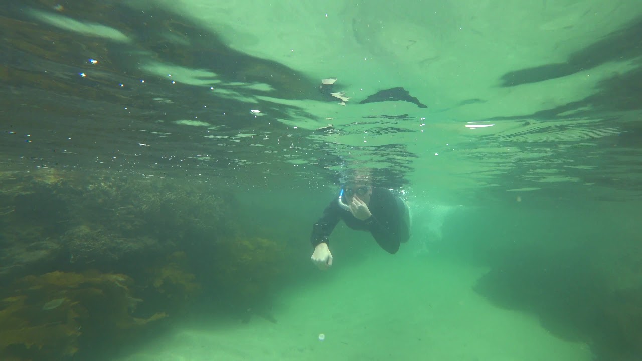 Snorkelling at Currarong Rock Pools - YouTube