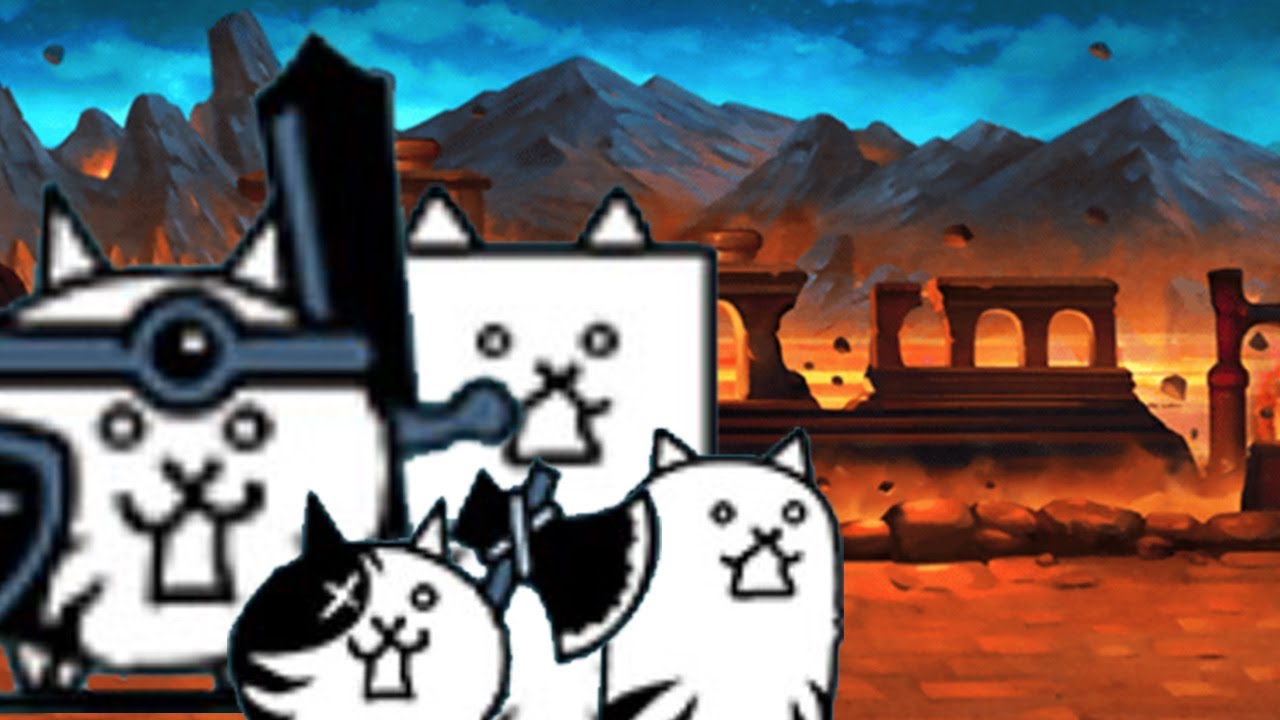 cat review : รีวิวเเมว brainwashed cats - YouTube