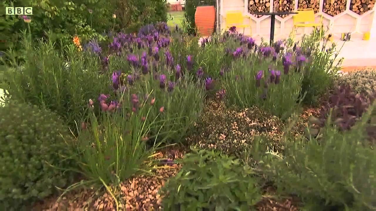 Wilson Associates Garden Design on BBC Gardeners World - YouTube
