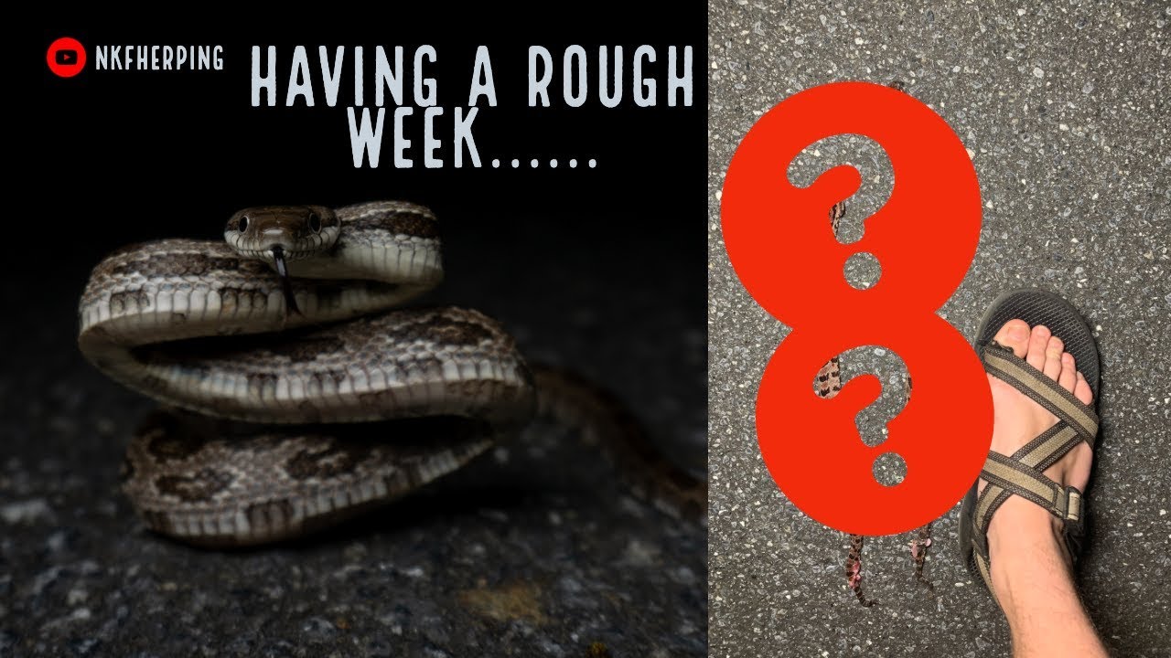 Having a Rough Week....... - YouTube