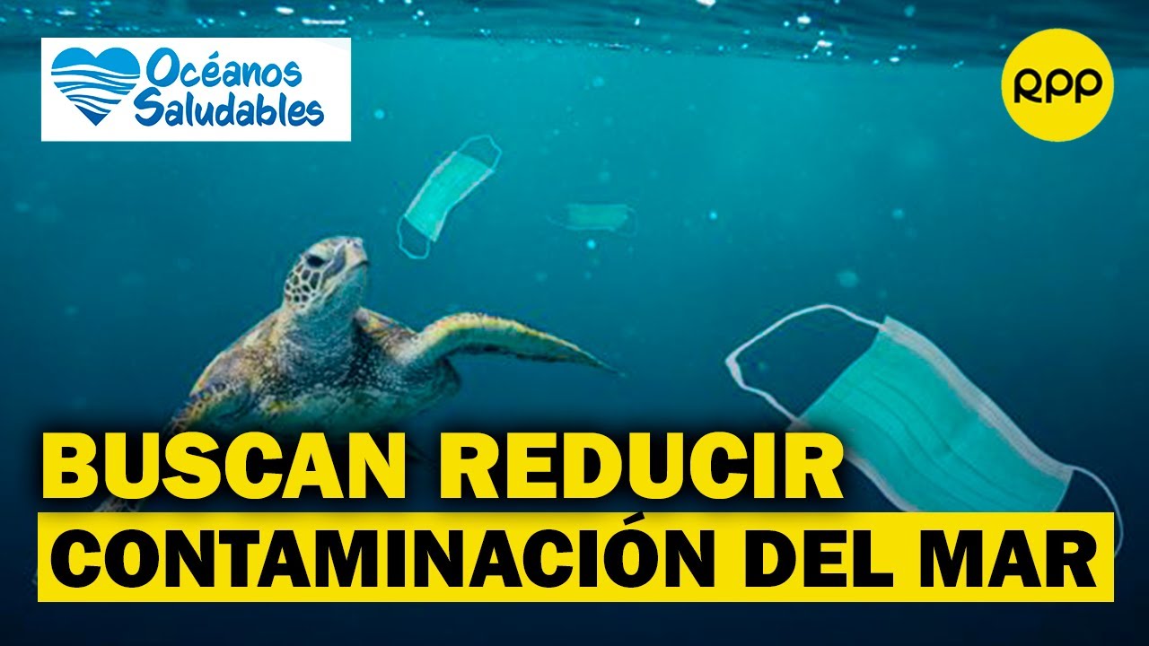 'Océanos Saludables': una campaña que busca reducir la contaminación ...