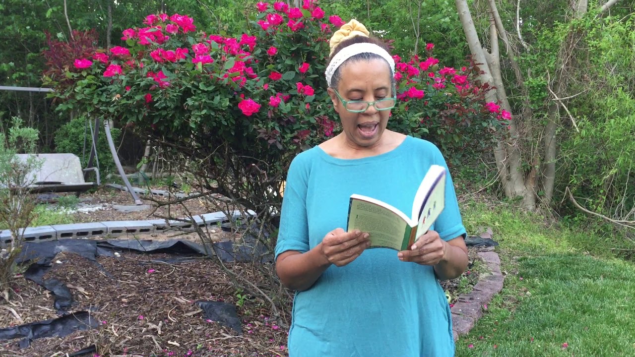 Laura the Library Lady - Special Parent Episode - Parents Showing Your ...