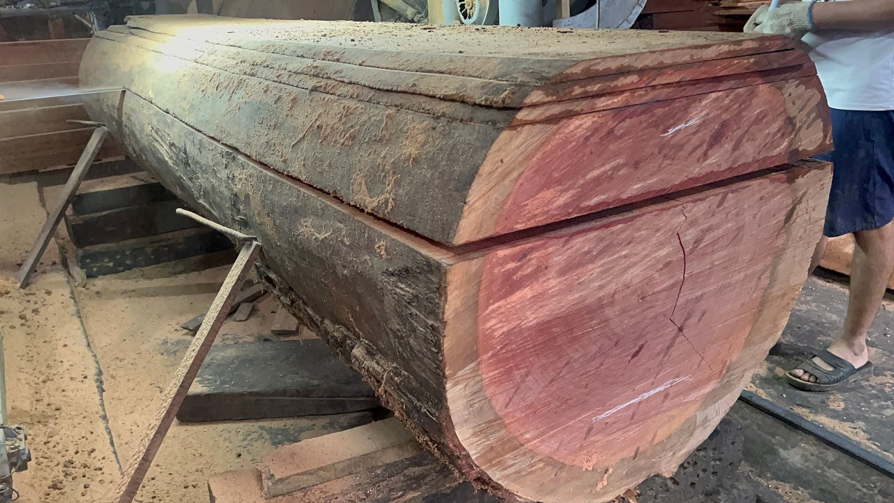 Extreme Wood Processing Technology - Cutting Wood Millions of Dollars ...